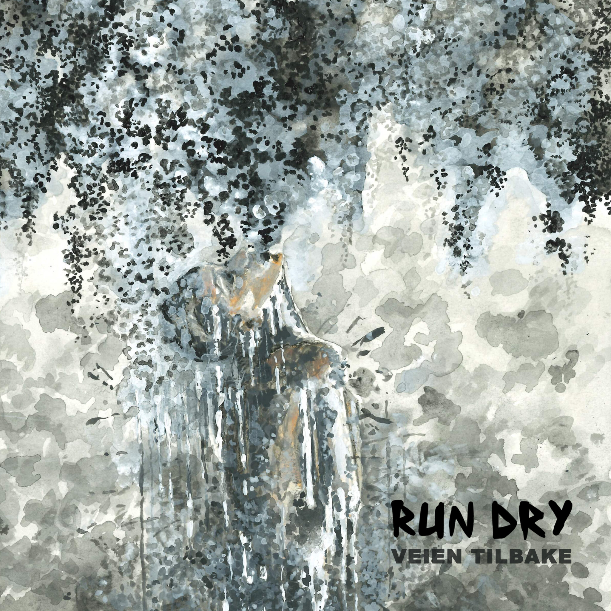 Run Dry, norsk hardcore – Heavymetal.no